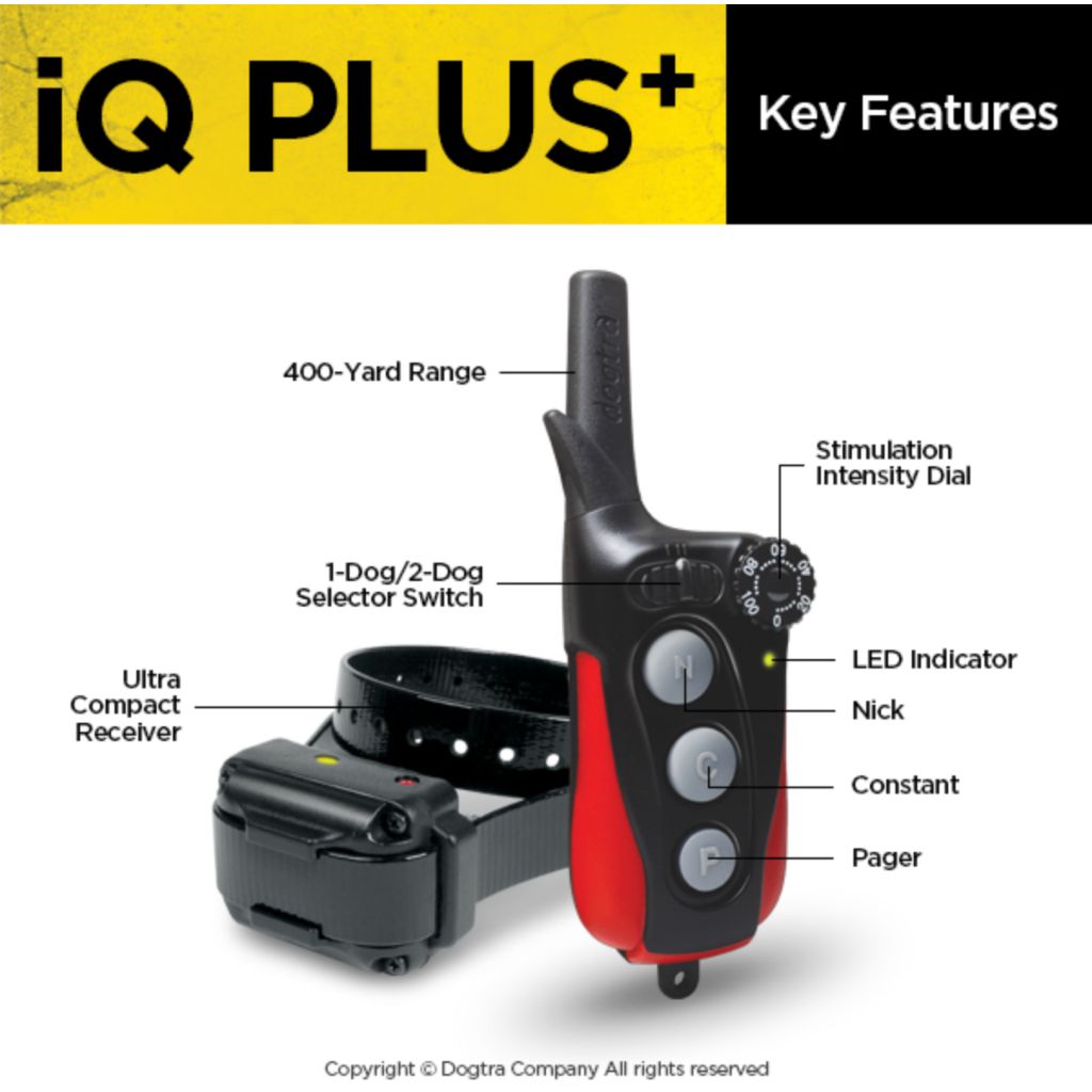 Dogtra iQ Plus